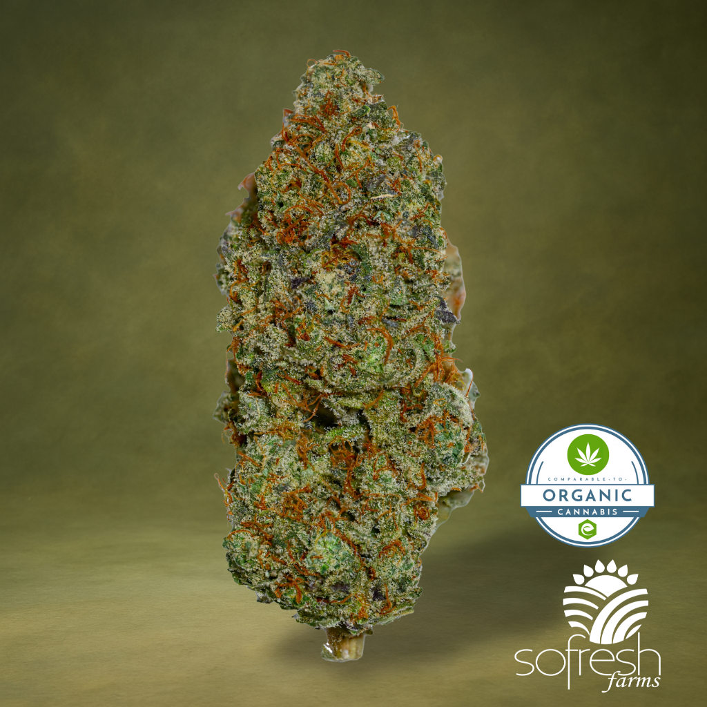 Buy Critical Cure 1/8oz Premium Whole Flower online - Goldflower ...