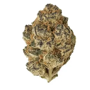 Buy Sunkist Tangie 14g online - Blossom Flower Delivery | Holyoke ...