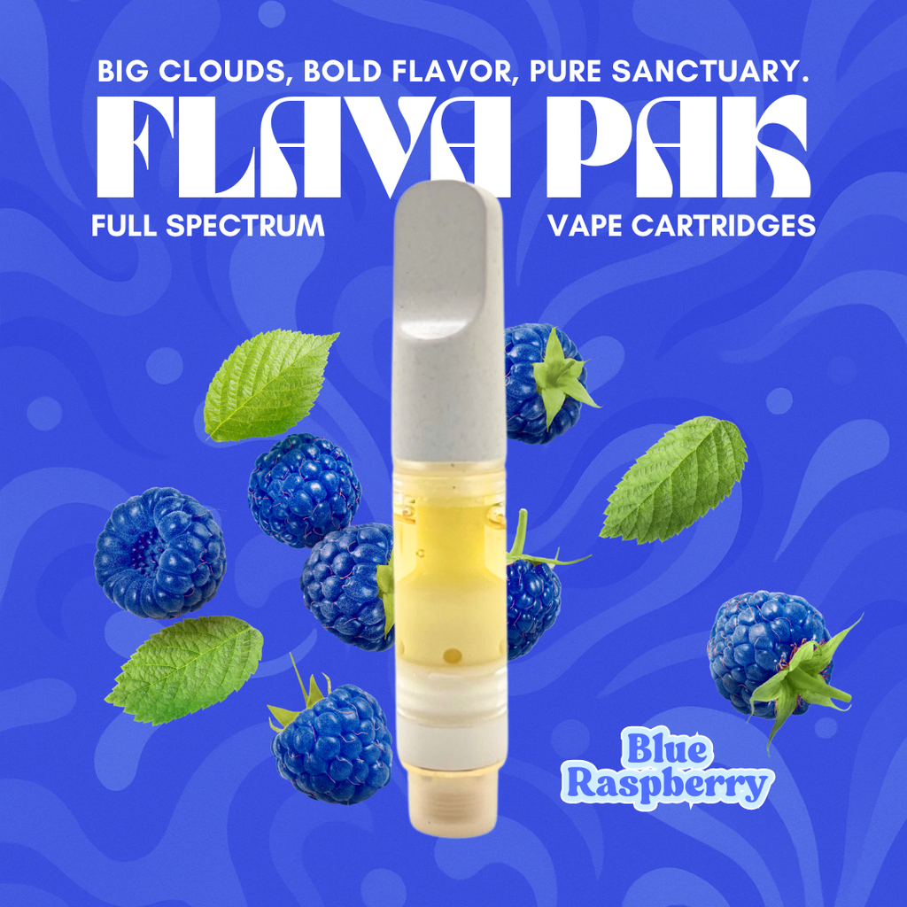 Buy Blue Raspberry 0.5g Full Spectrum Flava Pak Vape online - Sanctuary ...