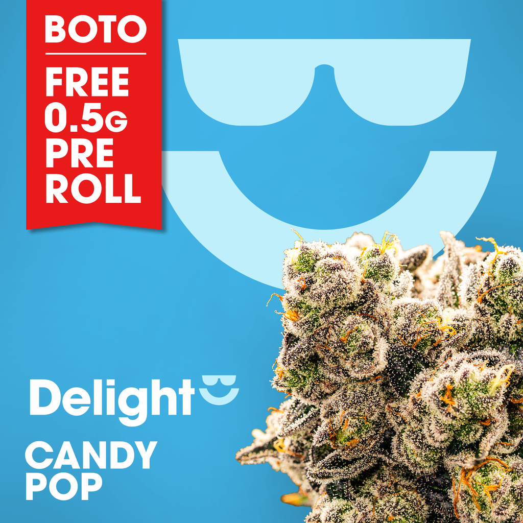 Buy Candy Pop 3.5g Whole Buds online - The Social Leaf Toms River ...