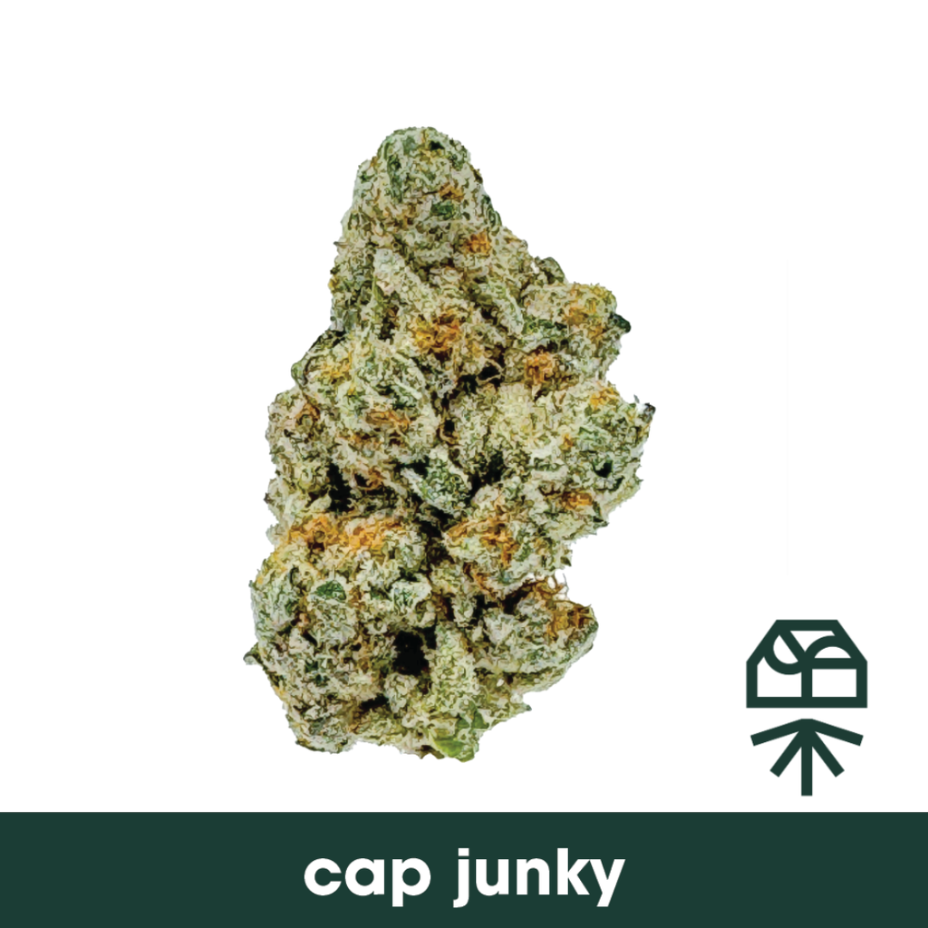 Buy Cap Junky 14g Smalls online - Altius Round Lake Beach | Round Lake ...
