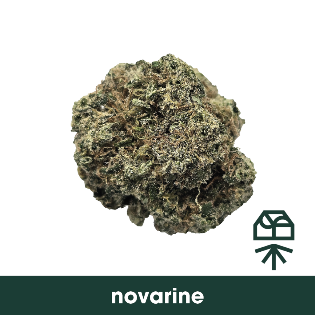 Buy Novarine 7g online - Altius Round Lake Beach | Round Lake Beach ...