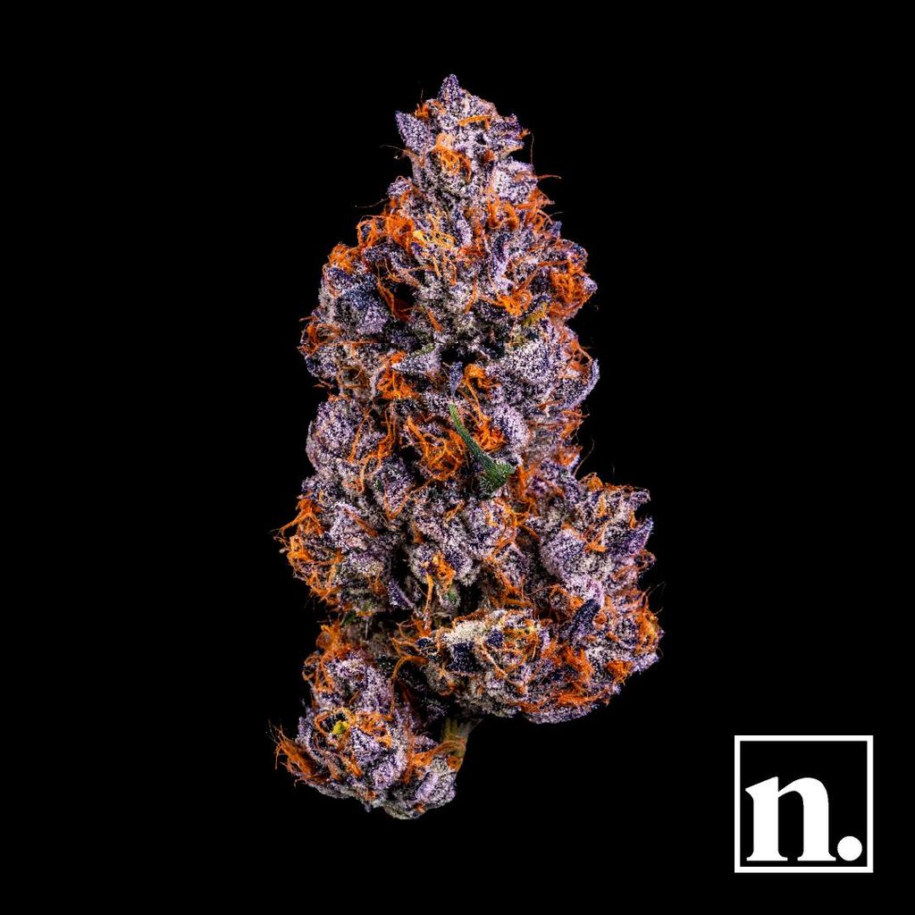 Buy Ztopia 3.5g Whole Buds online - The Social Leaf Toms River | South ...