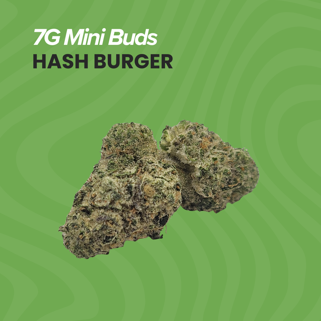Buy Hash Burger 7g Mini Buds online - Sanctuary Boca Powerline | Boca ...