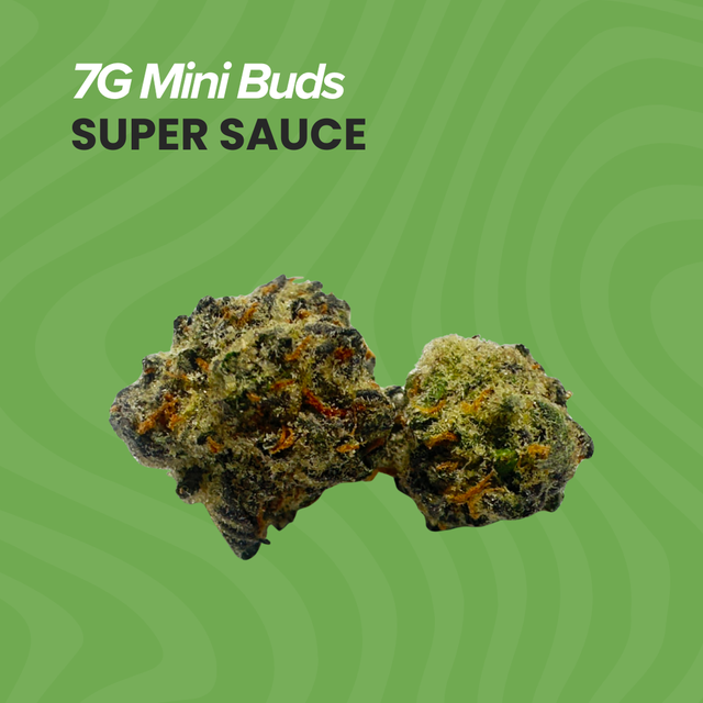Buy Super Sauce 7g Mini Buds online - Sanctuary St. Petersburg | St ...