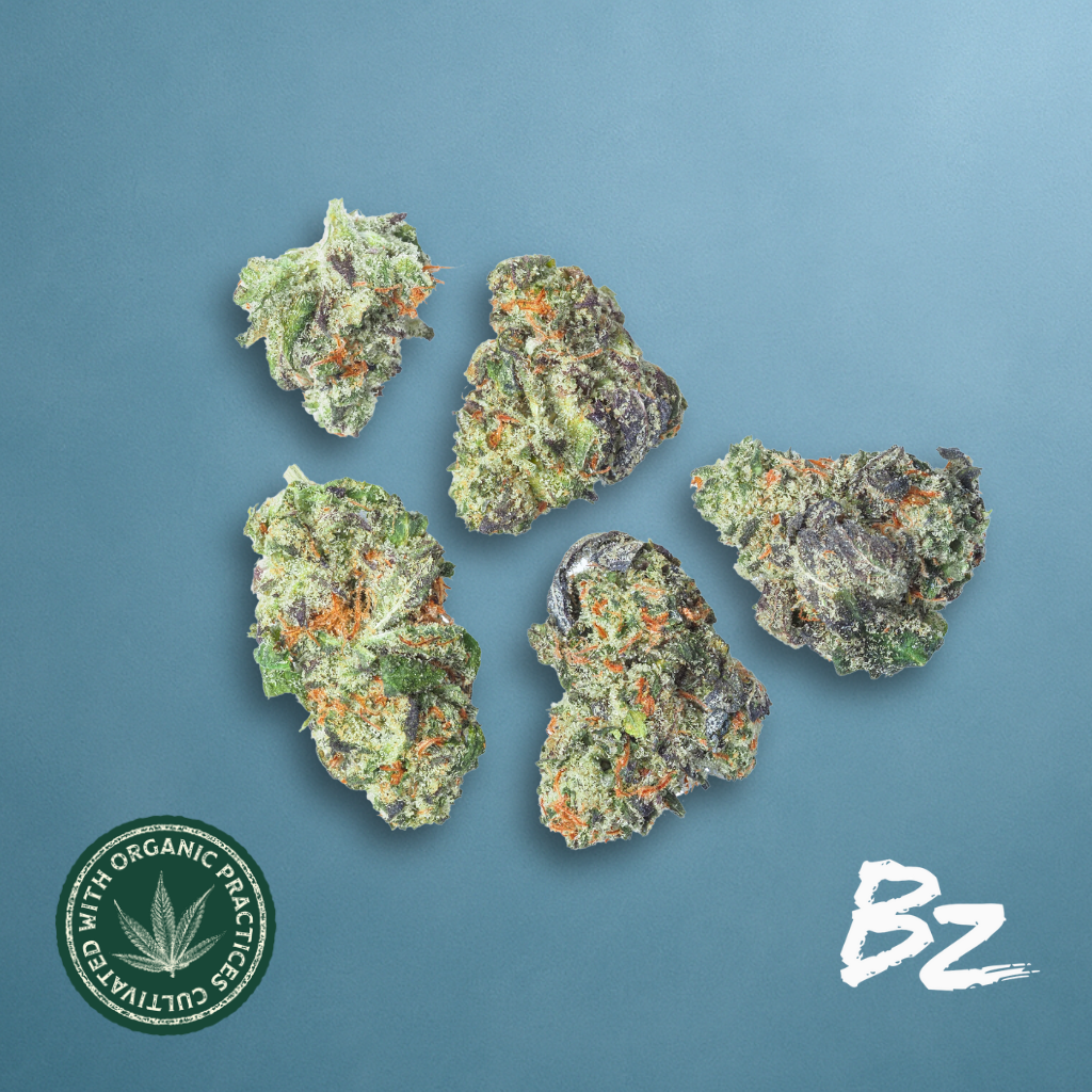 Buy Runtz x Double Banana Fuel 1/8th BZ online - Goldflower Orlando ...