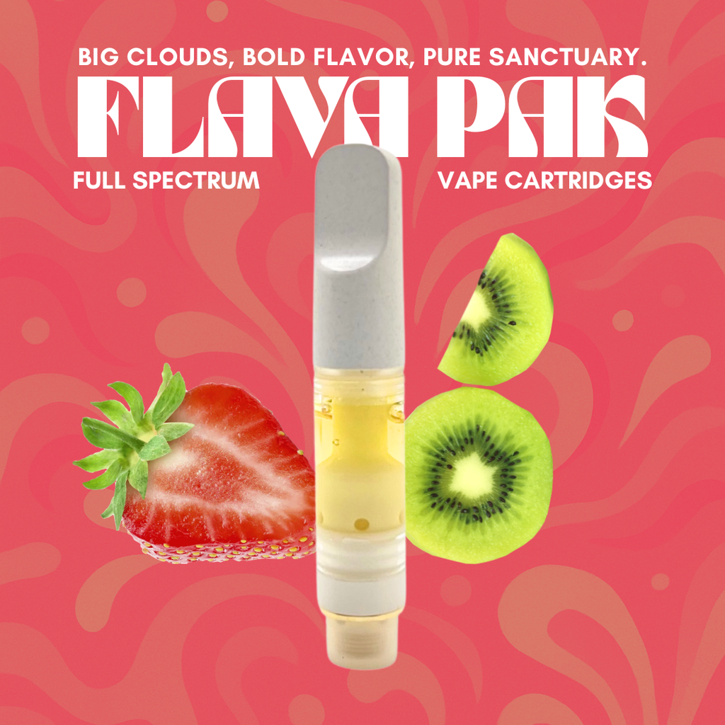 Buy Strawberry Kiwi 0.5g Full Spectrum Flava Pak Vape online ...