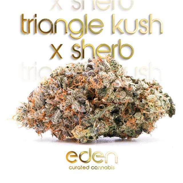 Buy Triangle Kush x Sherb 3.5g Whole Flower online - Eden - Tampa ...