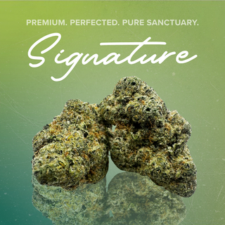 Welcome to Sanctuary Jupiter - buy cannabis online | Jupiter | Florida