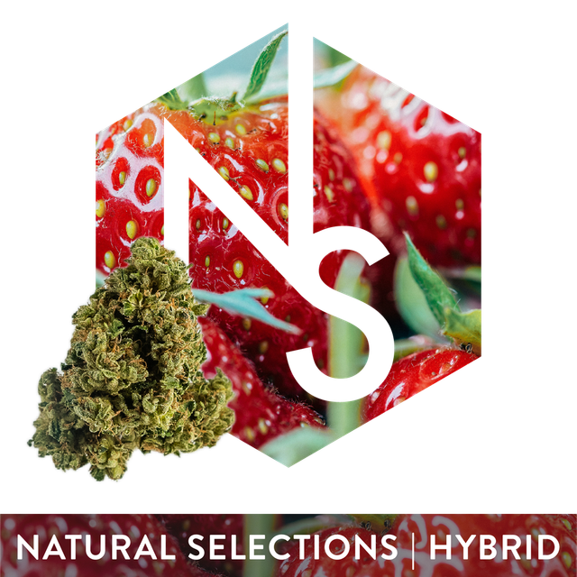 Discounts and Best Deals for cannabis products online | Natural ...